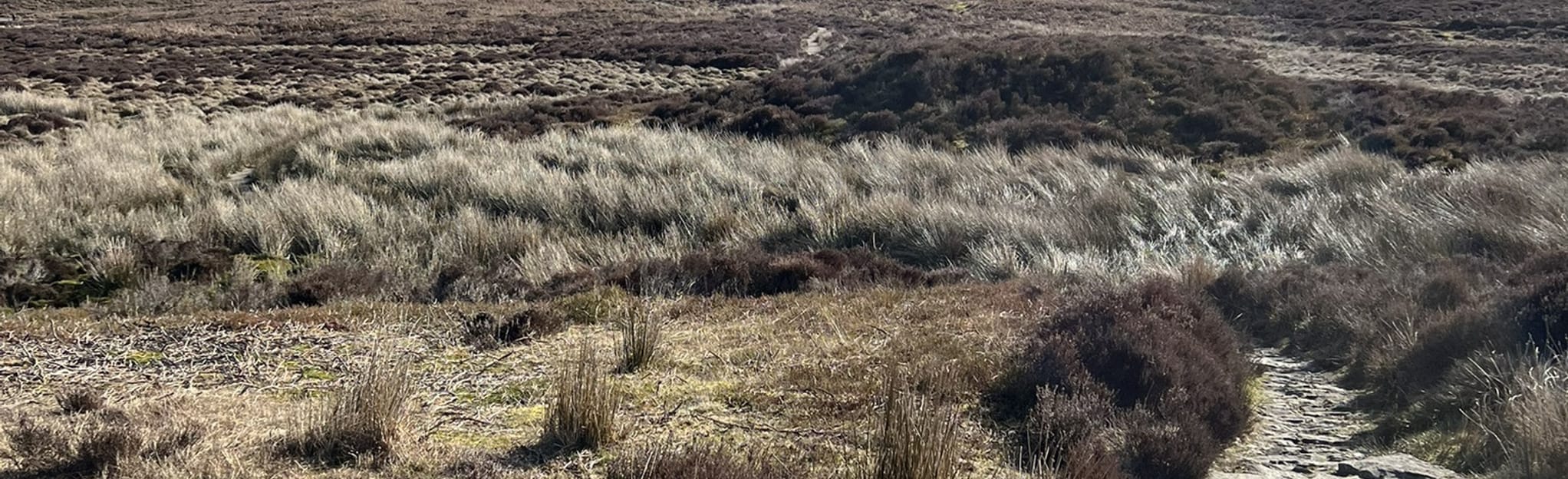 Cyrn-y-Brain Circular: 13 Reviews, Map - Denbighshire, Wales | AllTrails