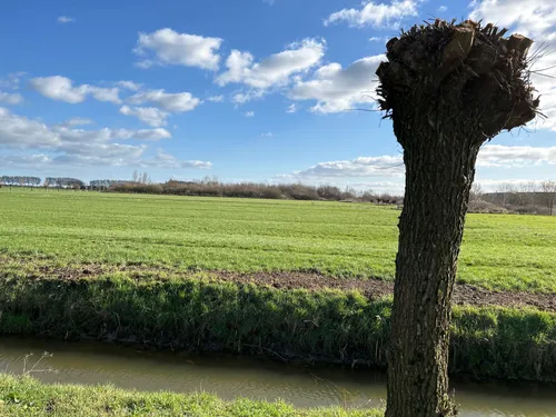 10 Best Trails and Hikes in Houten | AllTrails