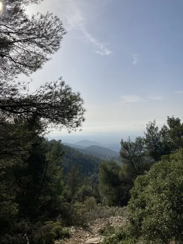 2023 Best Long Trails in Imitos Aesthetic Forest | AllTrails