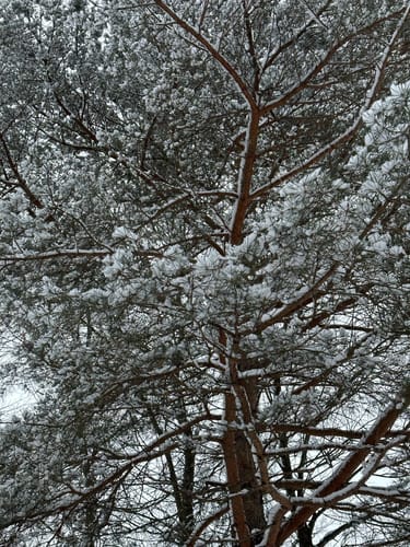 Best Hikes and Trails in Addison Oaks County Park | AllTrails