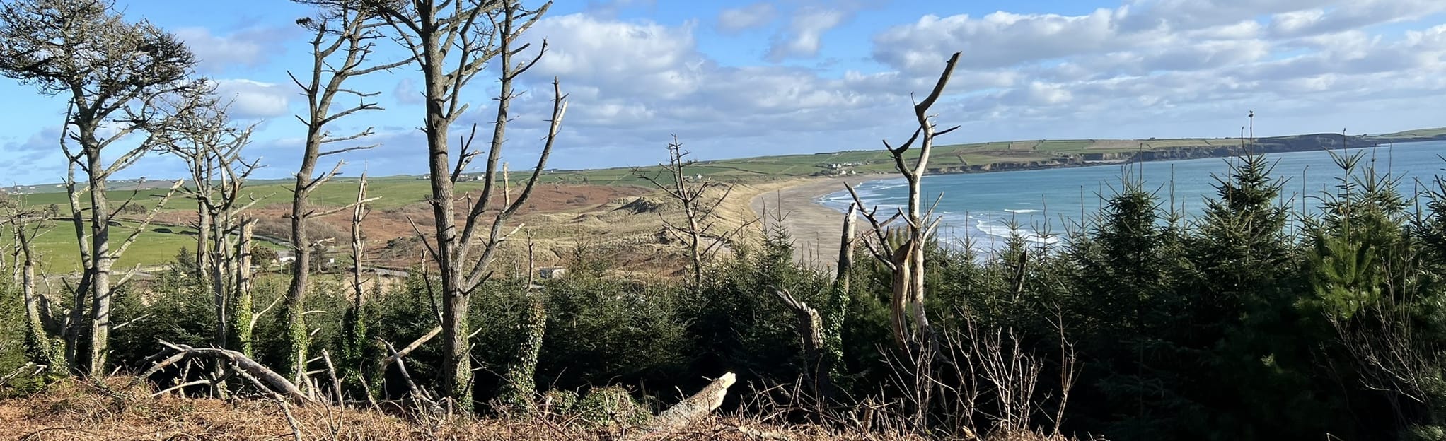 Castle Freke and Long Strand Dunes Loop | AllTrails