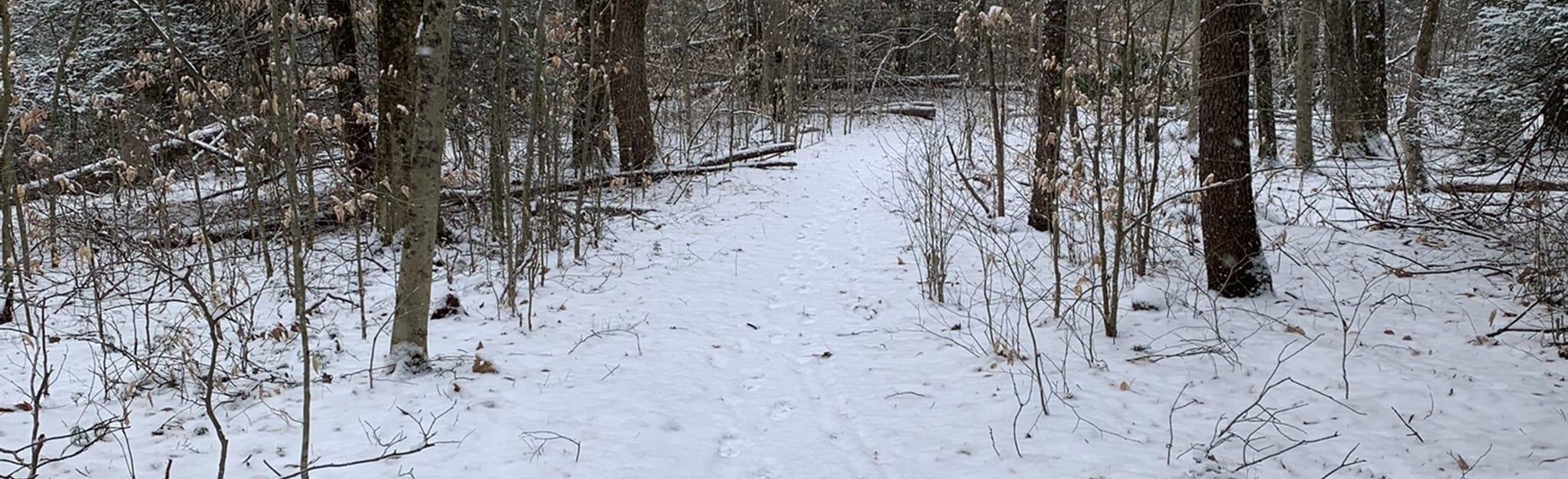 Banker Trail, New Jersey - 46 Reviews, Map | AllTrails