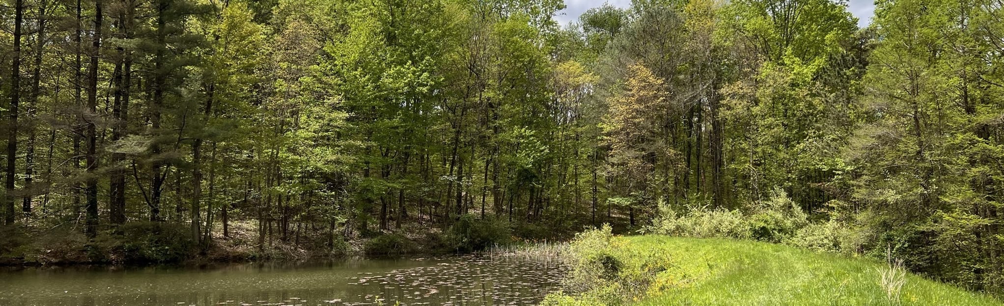 Tecumseh Trail: 321 Reviews, Map - Indiana | AllTrails