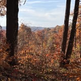 Tecumseh Trail, Indiana - 294 Reviews, Map | AllTrails
