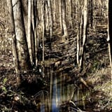 Lake Thom-a-Lex Nature Trail, North Carolina - 225 Reviews, Map | AllTrails