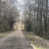 Longleaf Trace Trail, Mississippi - 306 Reviews, Map | AllTrails