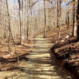 Lake Thom-a-Lex Nature Trail, North Carolina - 225 Reviews, Map | AllTrails
