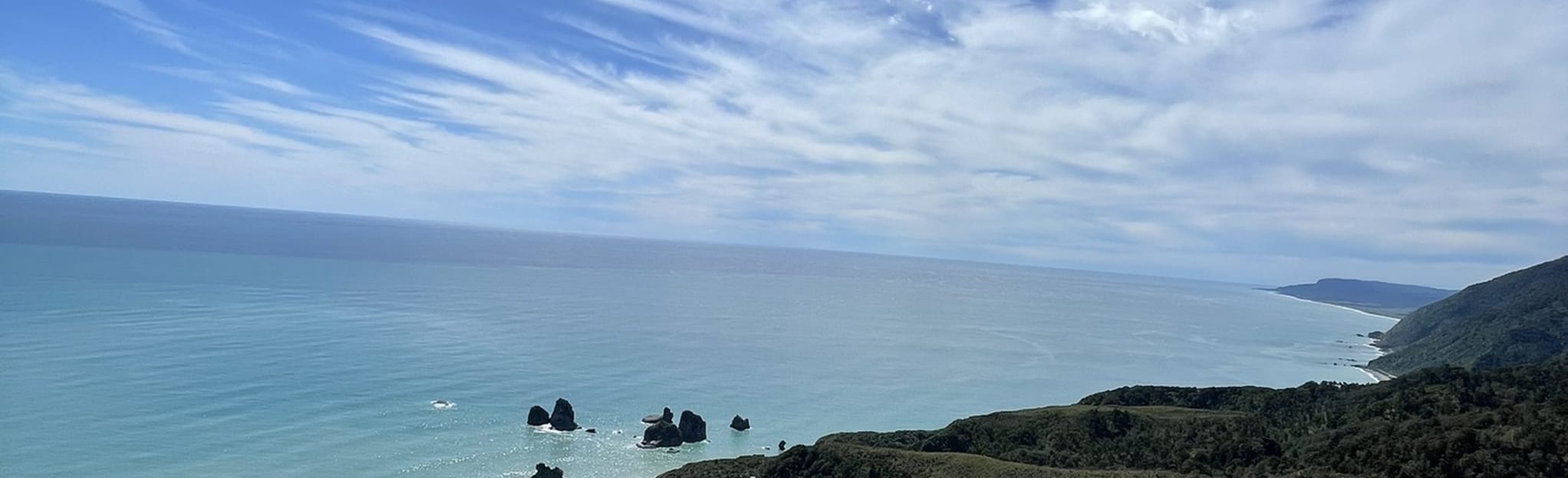 Mount George Track, West Coast, New Zealand - 27 Reviews, Map | AllTrails