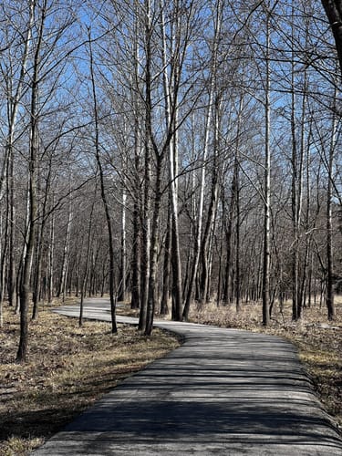 Best Hikes and Trails in Minnie Ha Ha Park | AllTrails