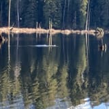 Irely Lake Trail, Washington - 125 Reviews, Map | AllTrails