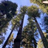 Irely Lake Trail, Washington - 125 Reviews, Map | AllTrails