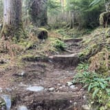 Irely Lake Trail, Washington - 125 Reviews, Map | AllTrails
