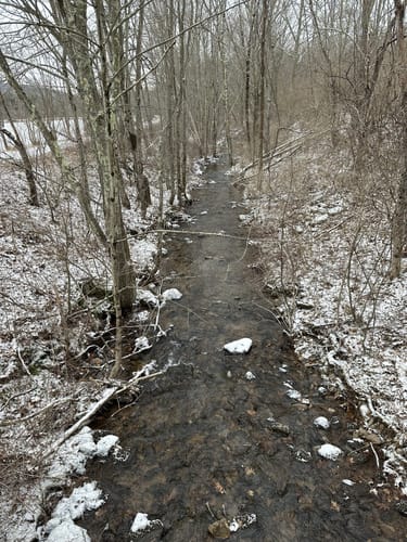 Best Hikes and Trails in Mountain Top | AllTrails