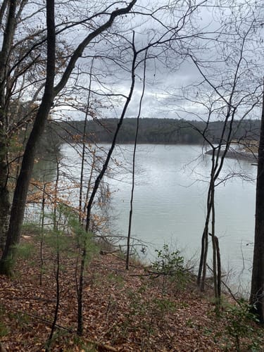 2023 Best trails in W. Kerr Scott Reservoir | AllTrails
