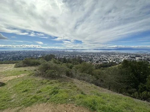 10 Best Trail Running Trails in Berkeley | AllTrails