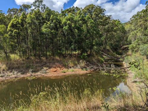 Best Hikes and Trails in Bullocky Rest | AllTrails