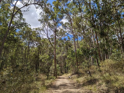 Best Hikes and Trails in Bullocky Rest | AllTrails