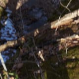 Chief Wapello Trail, Iowa - 55 Reviews, Map | AllTrails