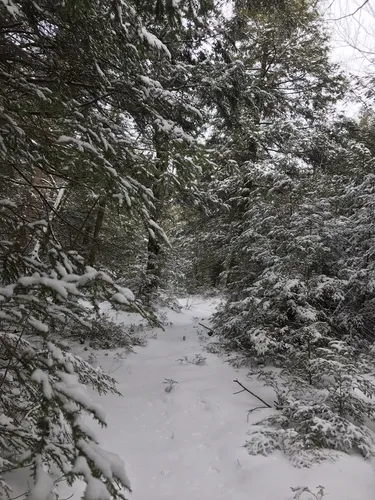 Best Hikes and Trails in Grover | AllTrails