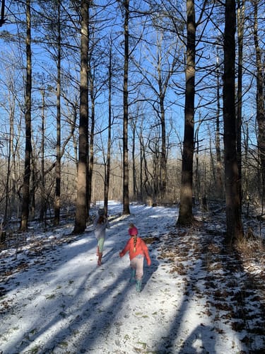 Best Hikes and Trails in Marengo Ridge Conservation Area | AllTrails