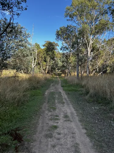 Best Hikes and Trails in Aranda Bushland Nature Reserve | AllTrails