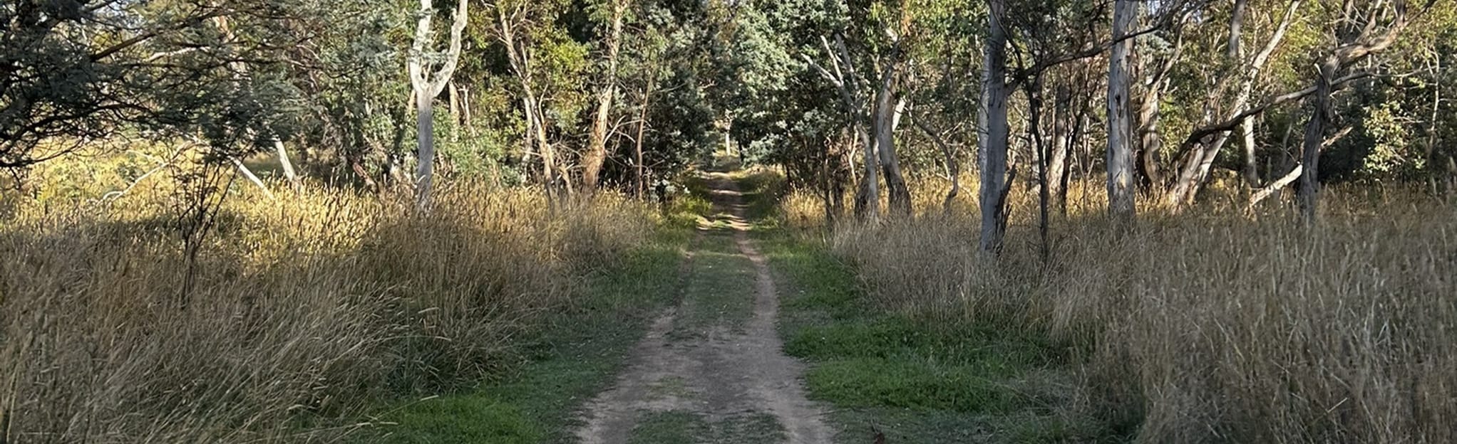 Aranda Bushland Nature Reserve: 77 Reviews, Map - Australian Capital ...