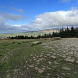 Beacon Fell Circular, Lancashire, England - 87 Reviews, Map | AllTrails