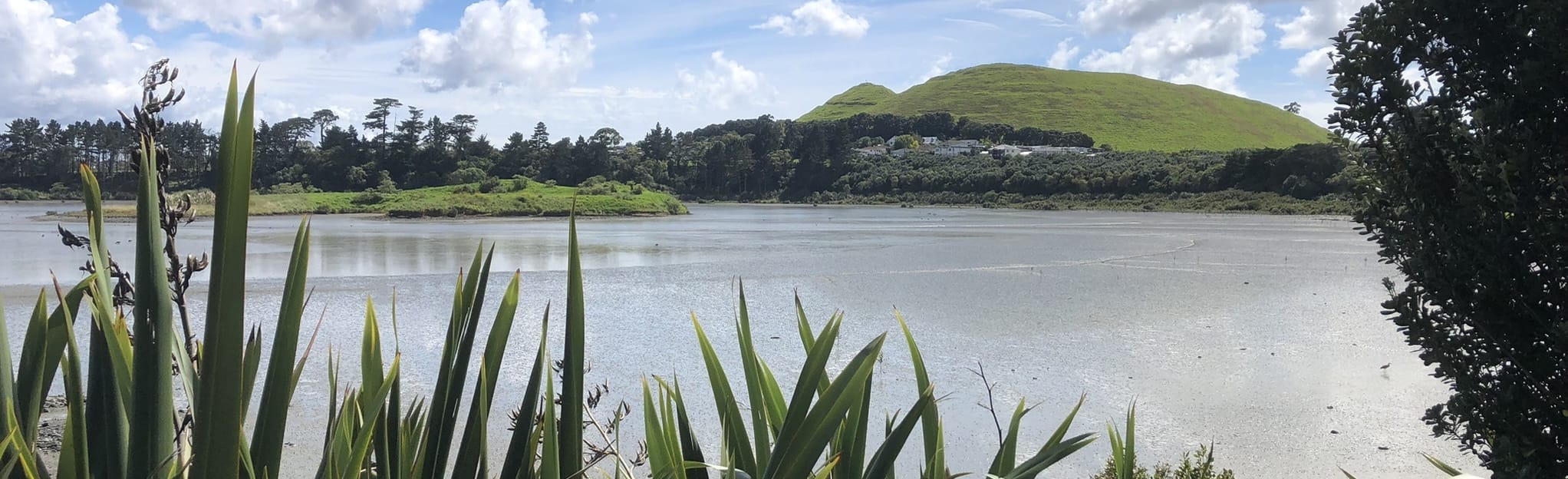 Mangere Lagoon Path, Auckland, New Zealand - 66 Reviews, Map | AllTrails