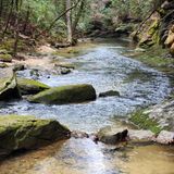 Kinlock Falls, Alabama - 254 Reviews, Map | AllTrails