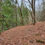 Kinlock Falls, Alabama - 254 Reviews, Map | AllTrails