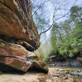 Kinlock Falls, Alabama - 254 Reviews, Map | AllTrails