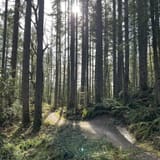 Grand Ridge Park Trail, Washington - 427 Reviews, Map | AllTrails
