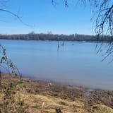 Scappoose Bay Marine Park Nature Trail and Kayak Launch, Oregon - 33 ...