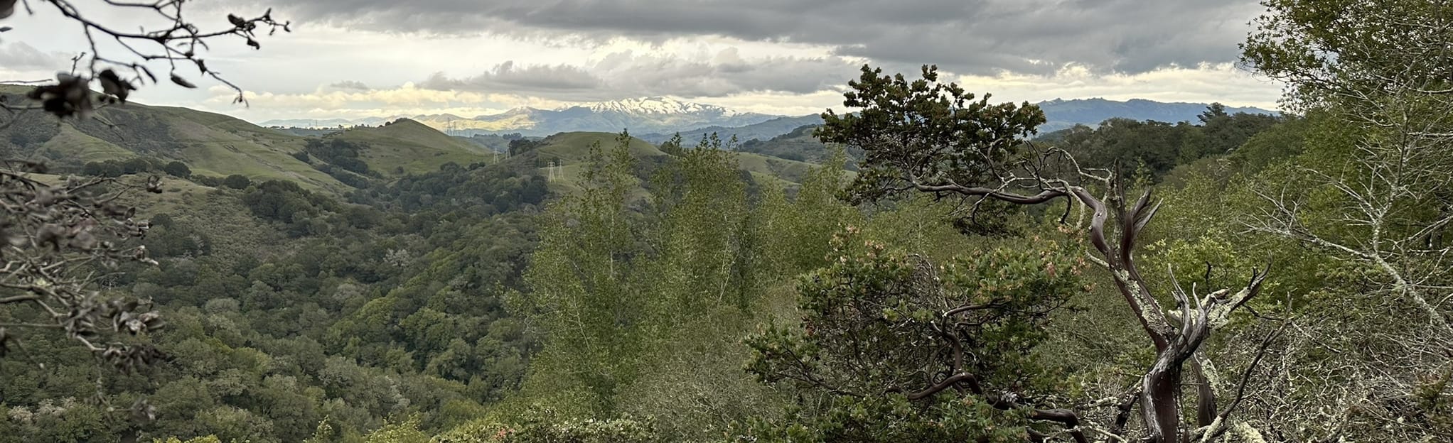 Huckleberry Preserve and Sibley Volcanic Loop, California - 319 Reviews ...