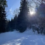 Rathdrum Mountain Trail, Idaho - 323 Reviews, Map | AllTrails