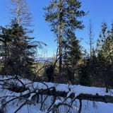 Rathdrum Mountain Trail, Idaho - 323 Reviews, Map | AllTrails
