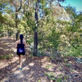 Coon Ridge Trail, Oklahoma - 296 Reviews, Map | AllTrails