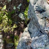 Coon Ridge Trail, Oklahoma - 296 Reviews, Map | AllTrails