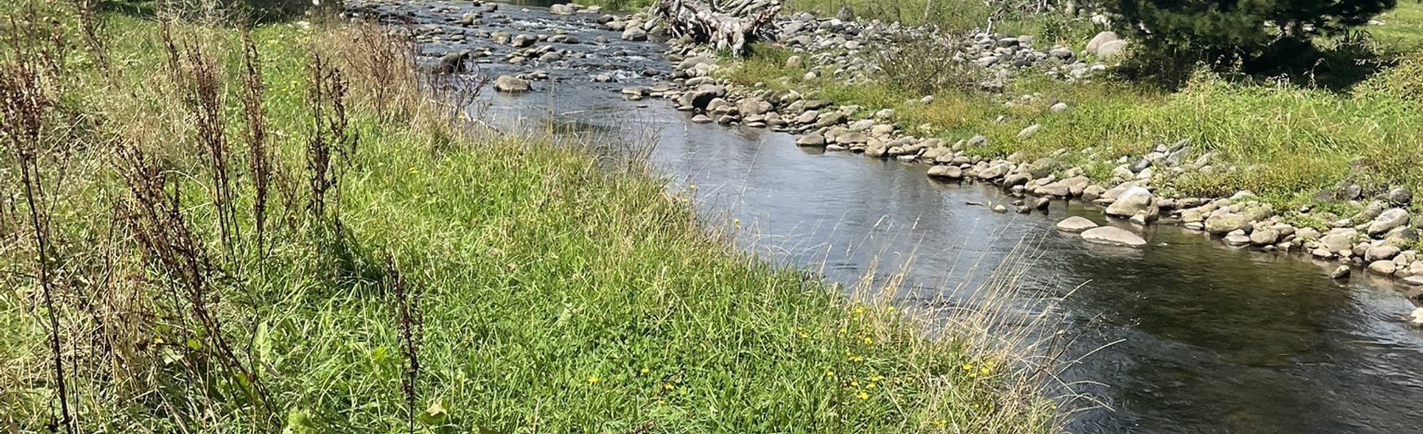 Stoney River Walkway: 9 Reviews, Map - Taranaki, New Zealand | AllTrails
