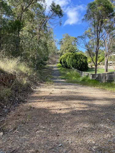 Best Hikes and Trails in Mount Nathan | AllTrails