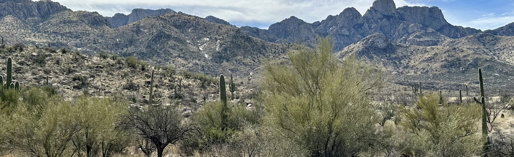 Catalina Canyon Loop Trail: 2967 Reviews, Map - Arizona | AllTrails