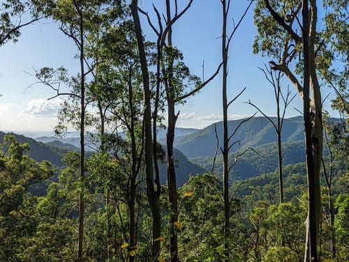 2023 Best 10 Trails and Hikes in Mount Glorious | AllTrails