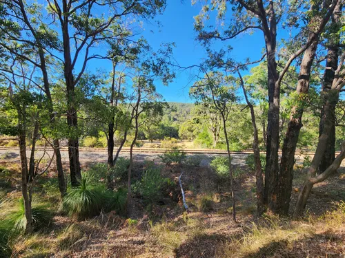 10 Best Trails and Hikes in Jarrahdale | AllTrails