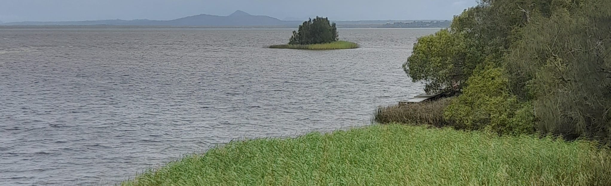 Kinaba Track, Queensland, Australia - 45 Reviews, Map | AllTrails