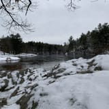 Breakheart Reservation Loop, Massachusetts - 1,037 Reviews, Map | AllTrails