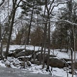 Breakheart Reservation Loop, Massachusetts - 1,037 Reviews, Map | AllTrails