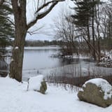 Breakheart Reservation Loop, Massachusetts - 1,037 Reviews, Map | AllTrails