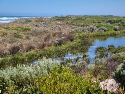 Best Hikes and Trails in Piccaninnie Ponds Conservation Park | AllTrails