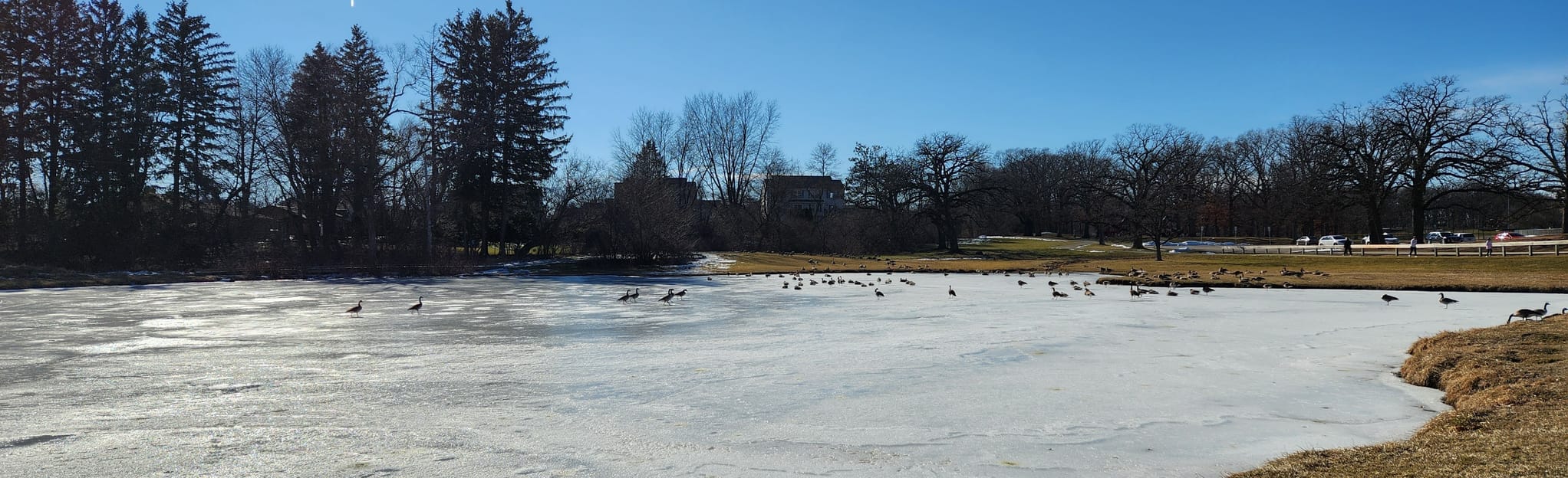 Emricson Park Loop: 32 Reviews, Map - Illinois | AllTrails