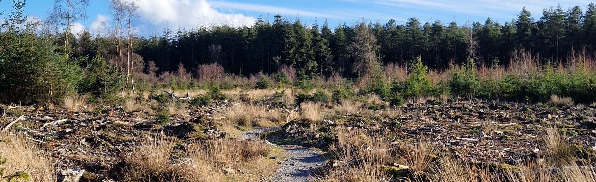 Haldon Gateway and Ridge Ride Trail Circular - Devon, England | AllTrails